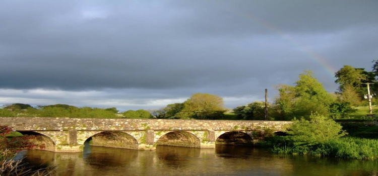 Rockhill Bruree Tidy Towns - Rockhill/Bruree Community Council